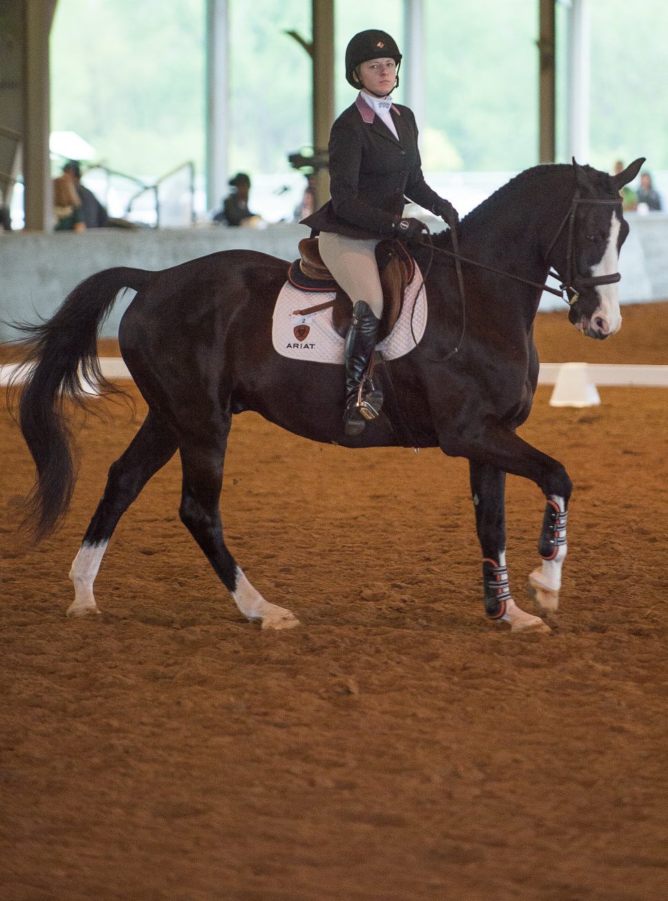 TCU Equestrian Competitors Ride High in Academic Accolades - TCU Magazine