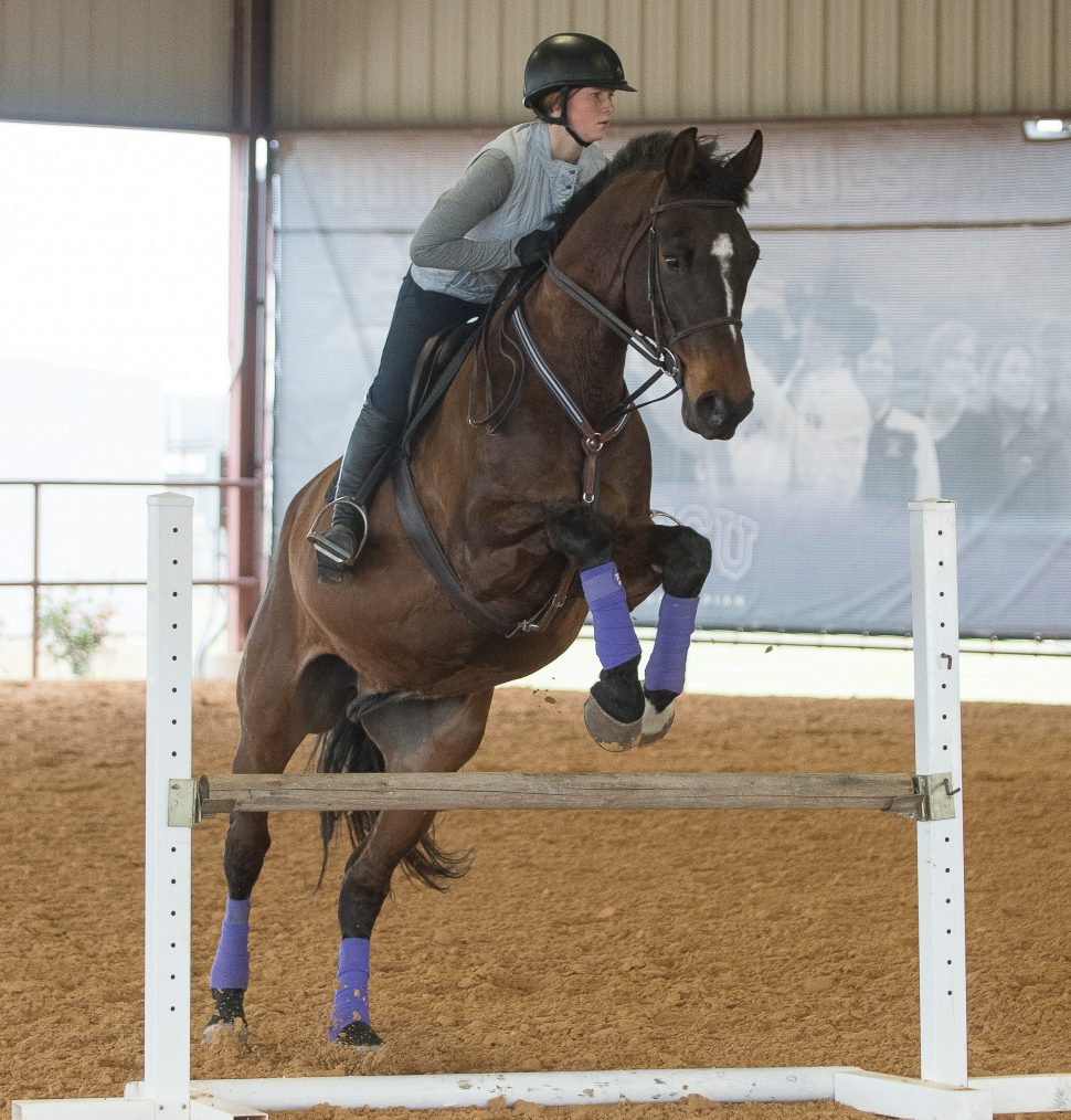 TCU Equestrian Competitors Ride High in Academic Accolades - TCU Magazine