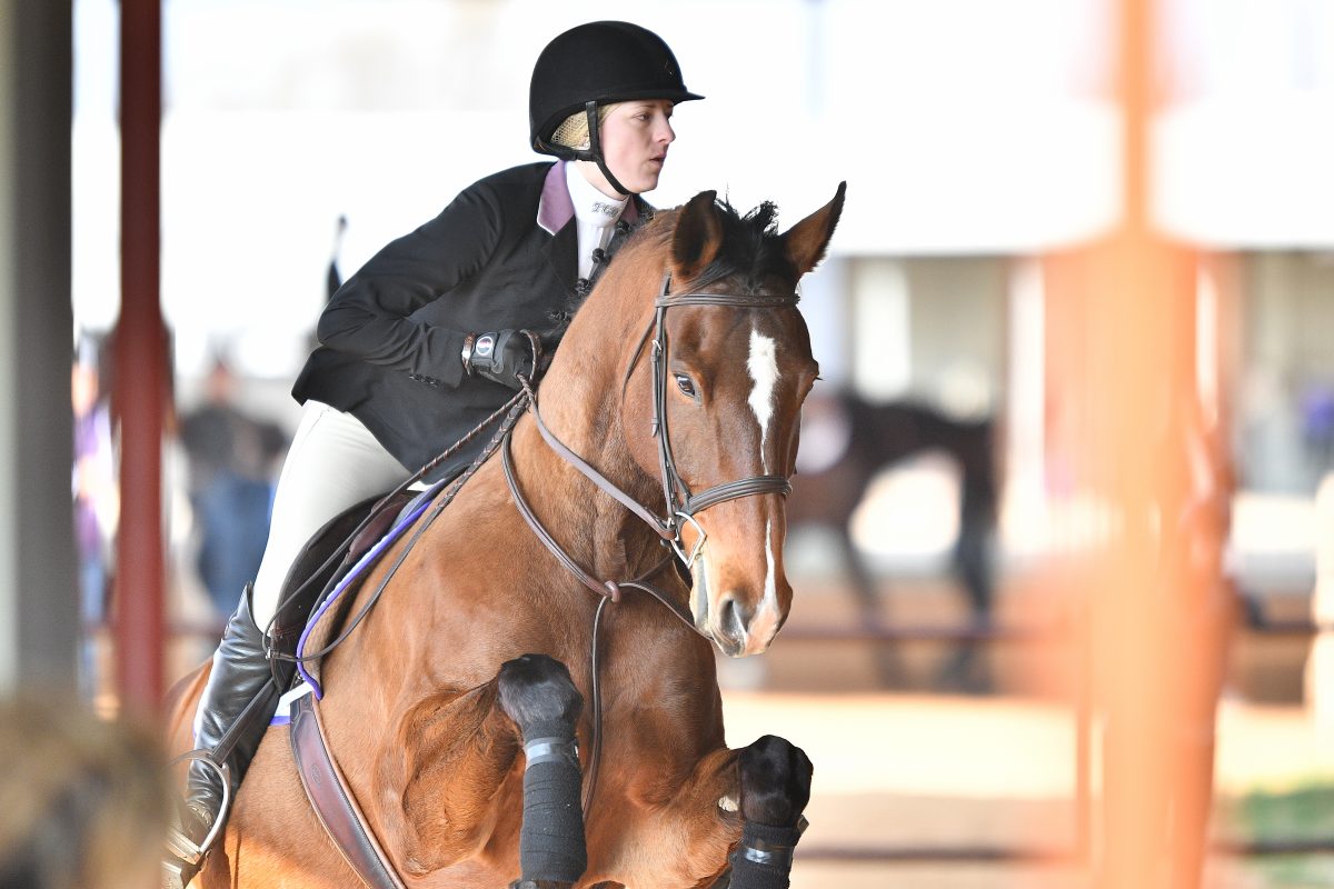 TCU Horses Bring Personalities to Competitions - TCU Magazine