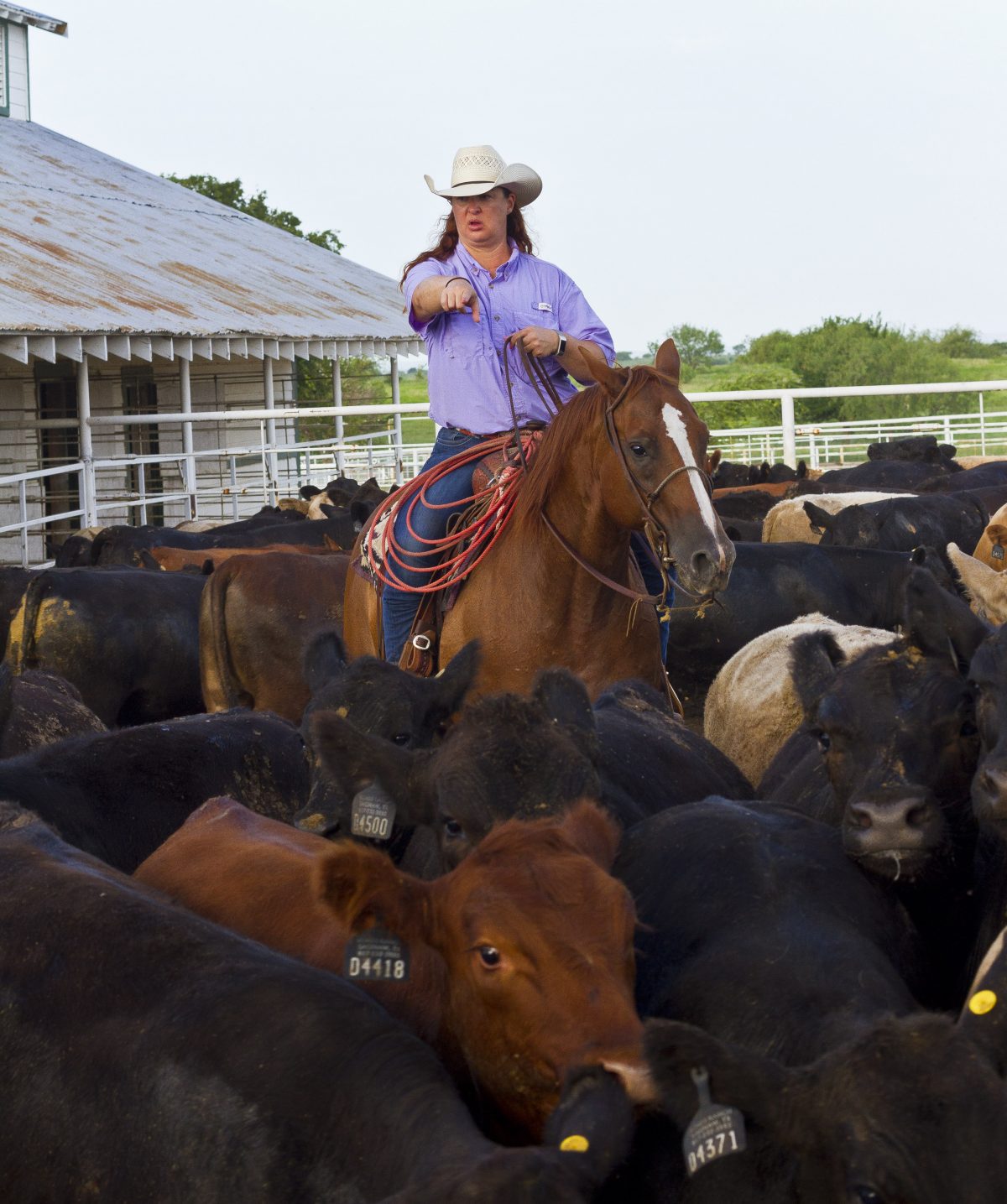 Pete Bonds Is Ranching's Maverick - TCU Magazine