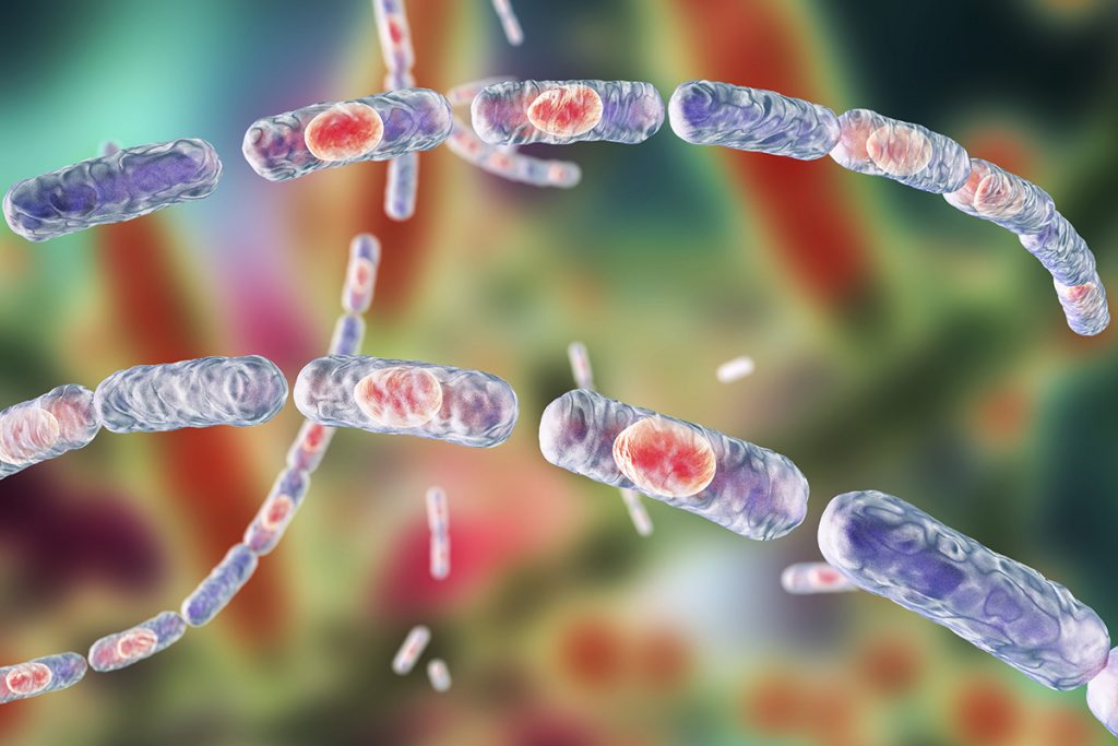 Stopping Anthrax with Antibiotics - TCU Magazine