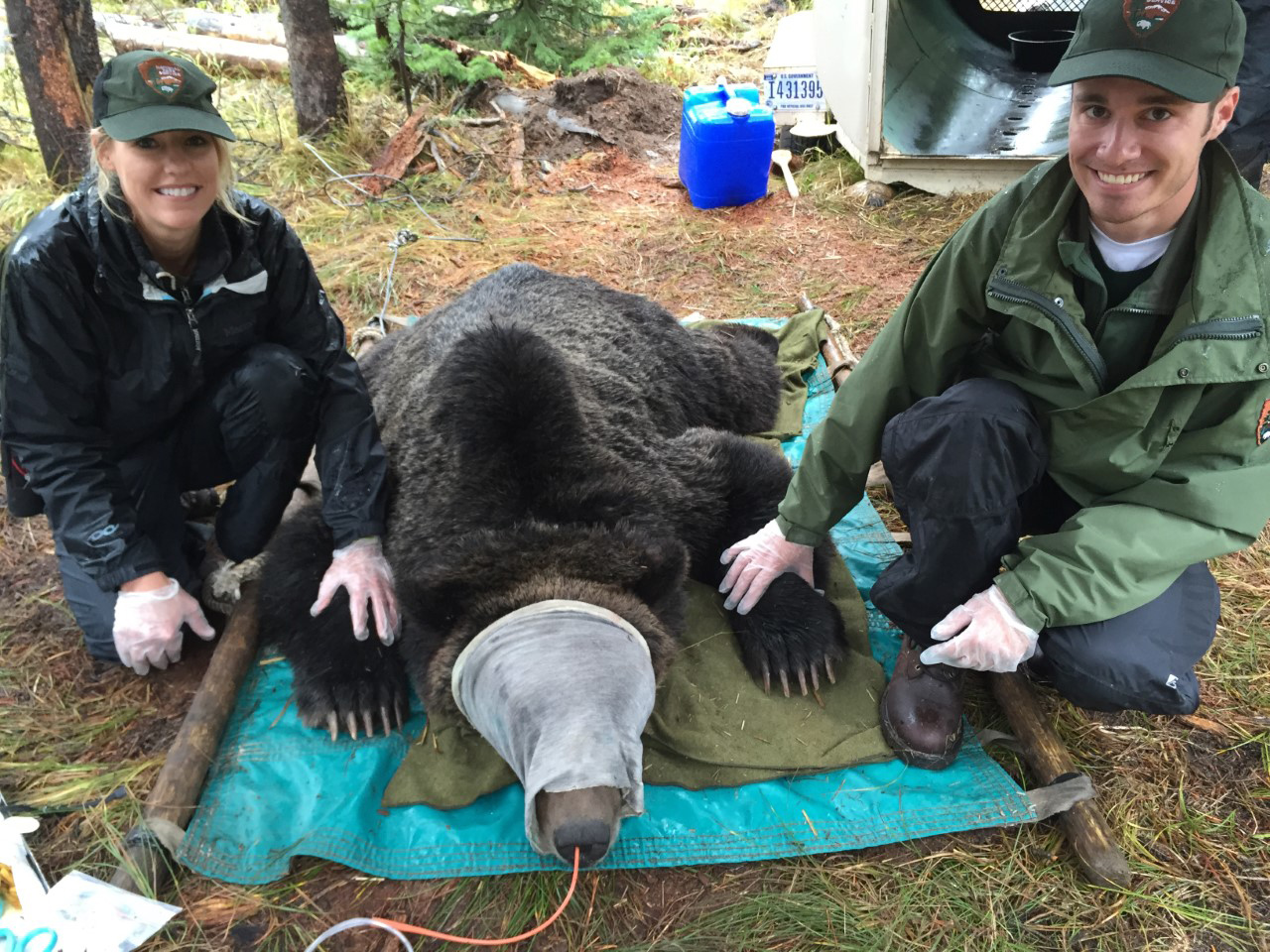 Jess Erwin Saves Bears at Grand Teton National Park - TCU Magazine