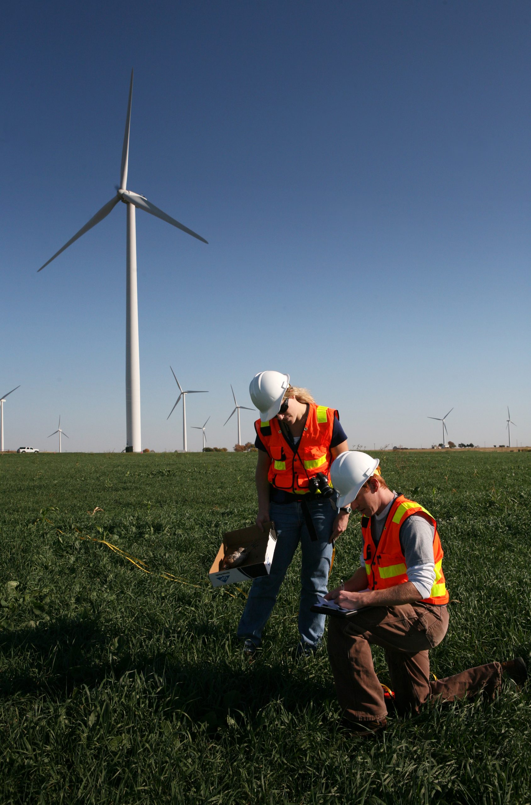 How TCU's Teacher-Scholar Model Evolved - TCU Magazine