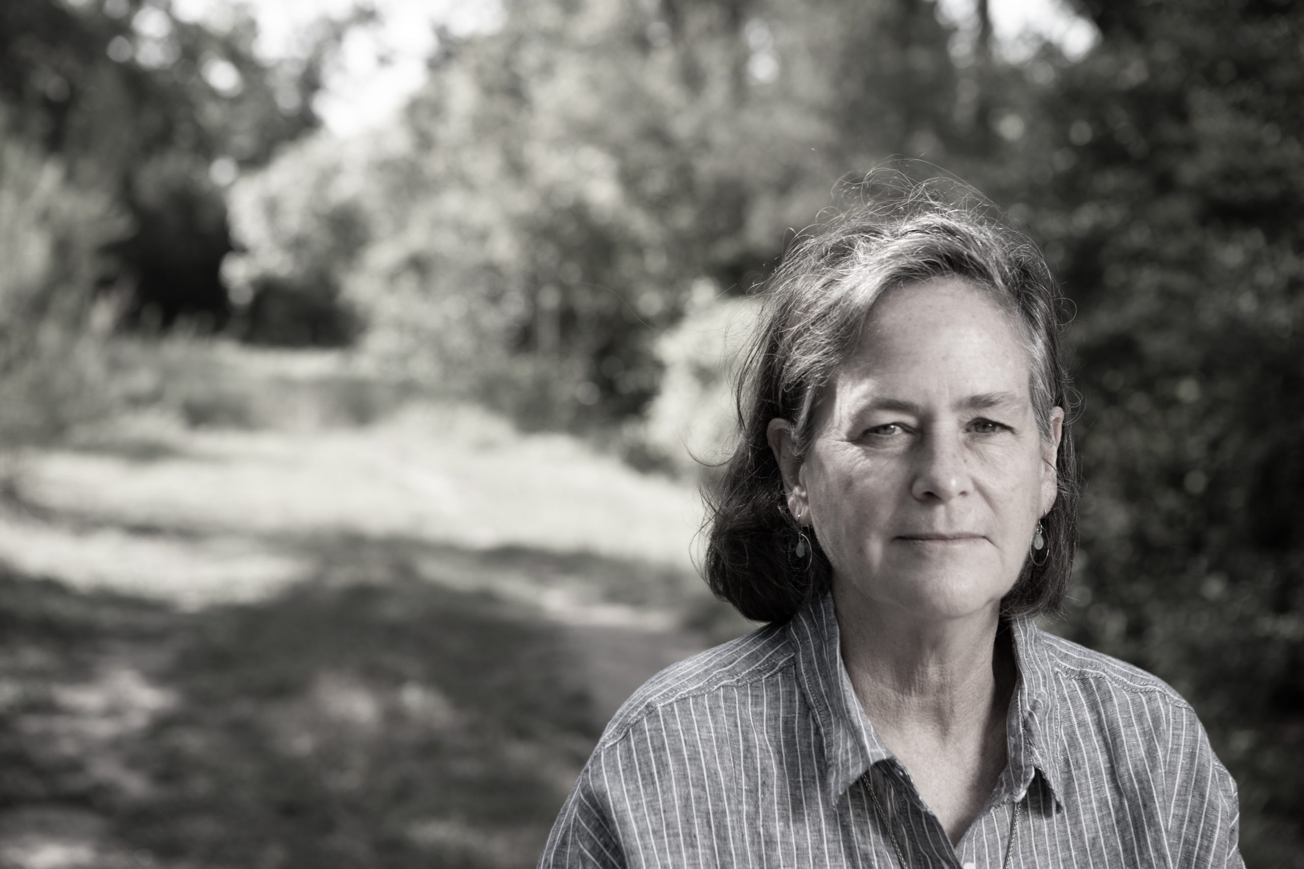 Catherine O’Connor finds acclaim with debut novel “Dust Covered Lies ...